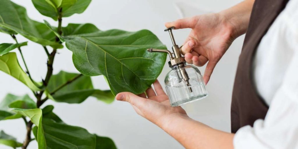 How to Mist Your Plant - AI Farming